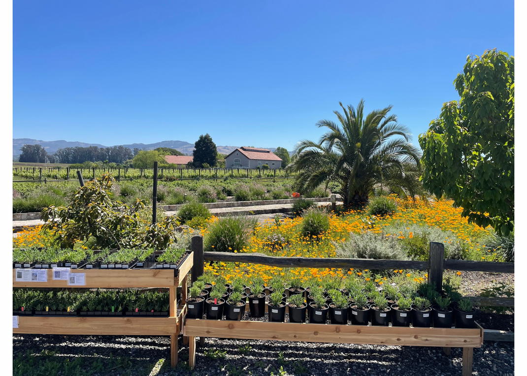 Our Farm Locations – Charsaw Farms